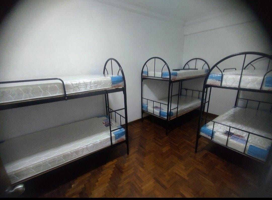 SINGLE DOUBLE DECKER BED@$149, Furniture & Home Living, Furniture, Bed ...