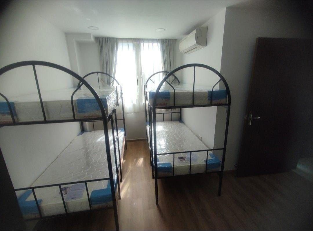 SINGLE DOUBLE DECKER BED@$149, Furniture & Home Living, Furniture, Bed ...