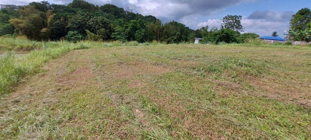 10,000/sqm lot at Royale Tagaytay Estate 300sqm. (Rush Sale) Clean ...