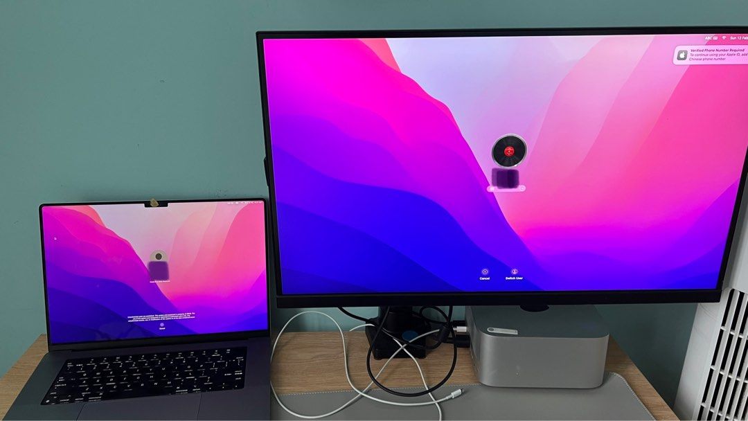 27 inch, 4K IPS (LG), 60HZ, with Arm, support Type C charge and display ...