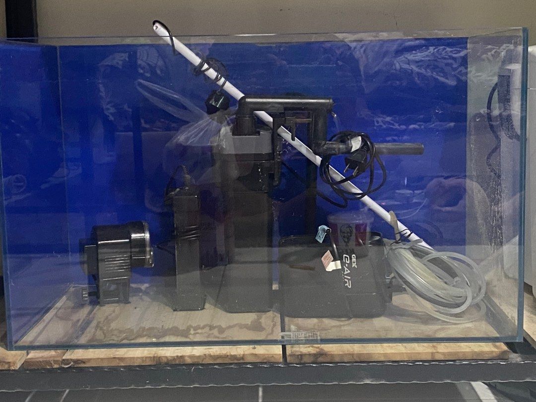 2 Ft Fish Tank - Complete Set, Pet Supplies, Homes & Other Pet ...