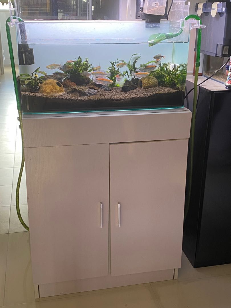 60cm or 2 feet fish tank set for sale, Pet Supplies, Homes & Other Pet ...