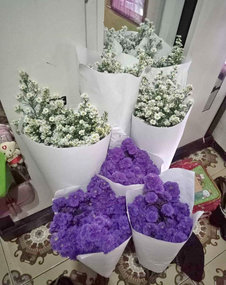 Bunga Pikok UNGU dan PUTIH cimahi bandung, Perkebunan di Carousell