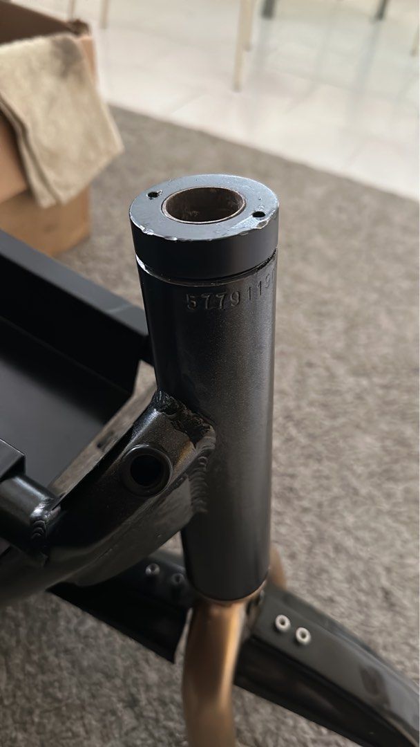 FIIDO FRAME LOWERED HOLOGRAPHIC FRAME, Sports Equipment, PMDs, E ...