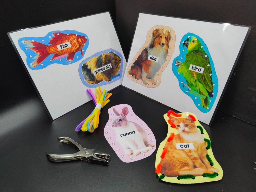 Fine Motor Activity - Lacing Using Fuzzy Wires, Hobbies & Toys, Toys ...