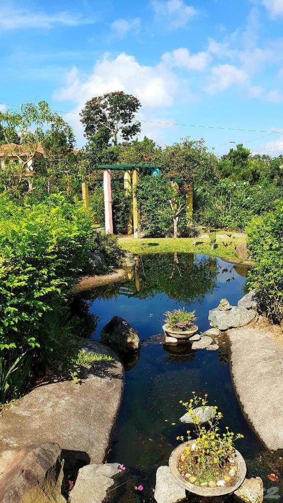 Ponderosa Farm Lot For Sale in Silang Cavite Cool Tagaytay Weather ...