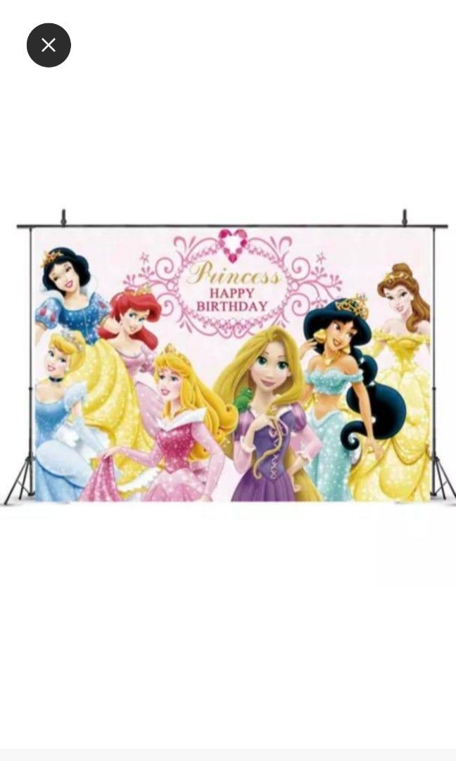 Princess backdrops/banner, Everything Else on Carousell