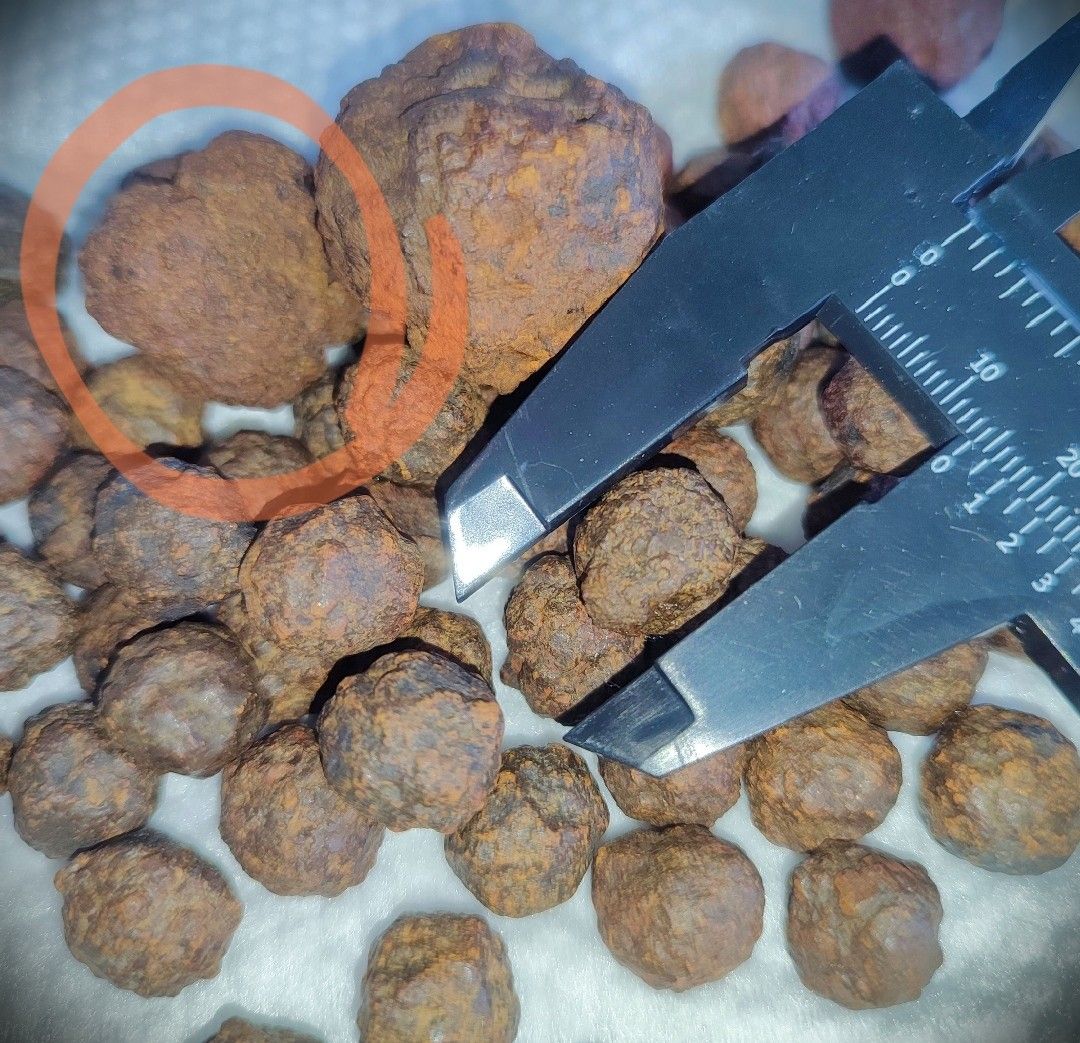 Set Price/Arahant Relic Stone Egg Rough Skin 2.5cm + Sulawesi Raw ...