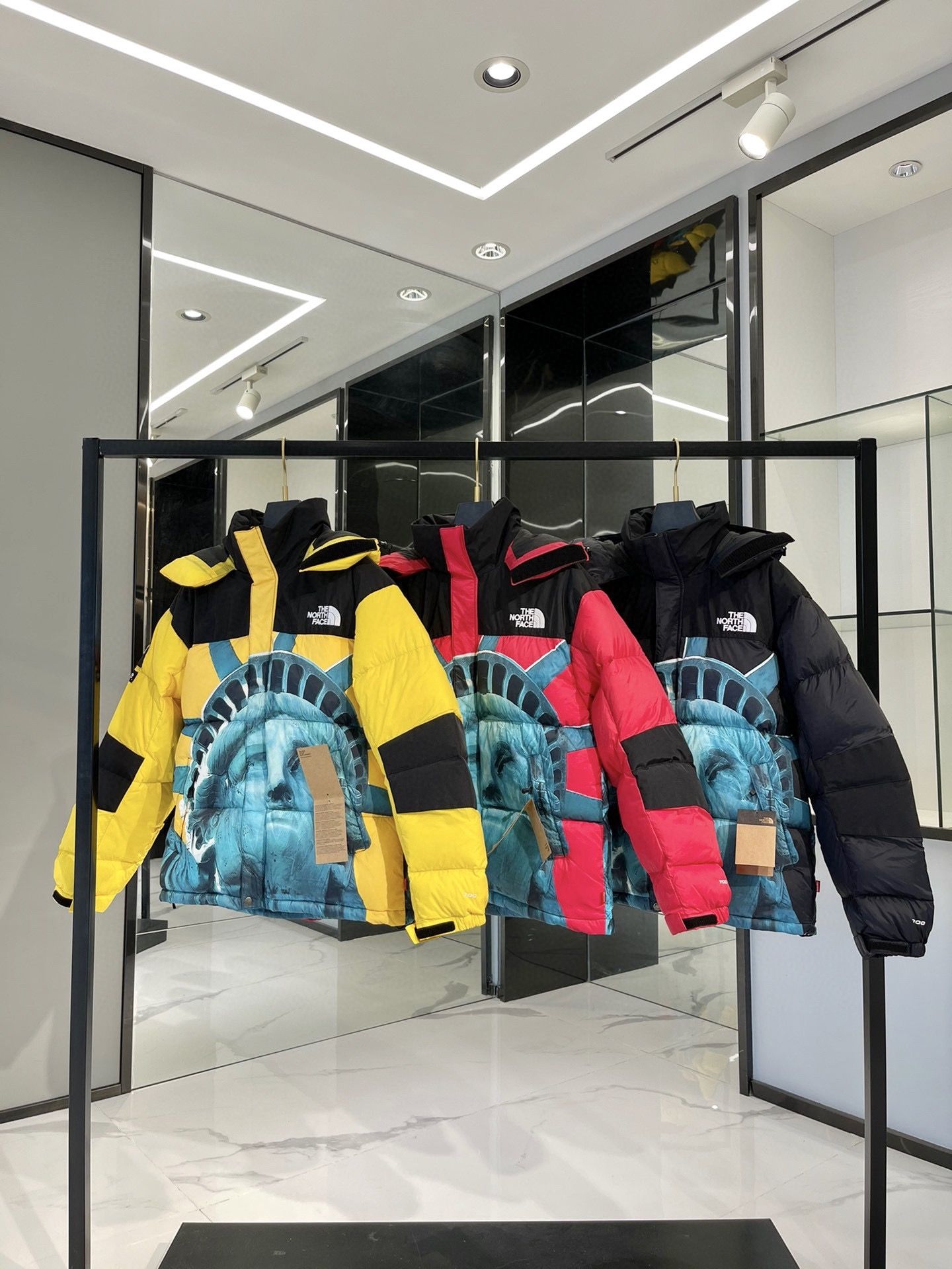 Authentic Supreme & TNF North Joint Statue of Liberty Down Jacket ...