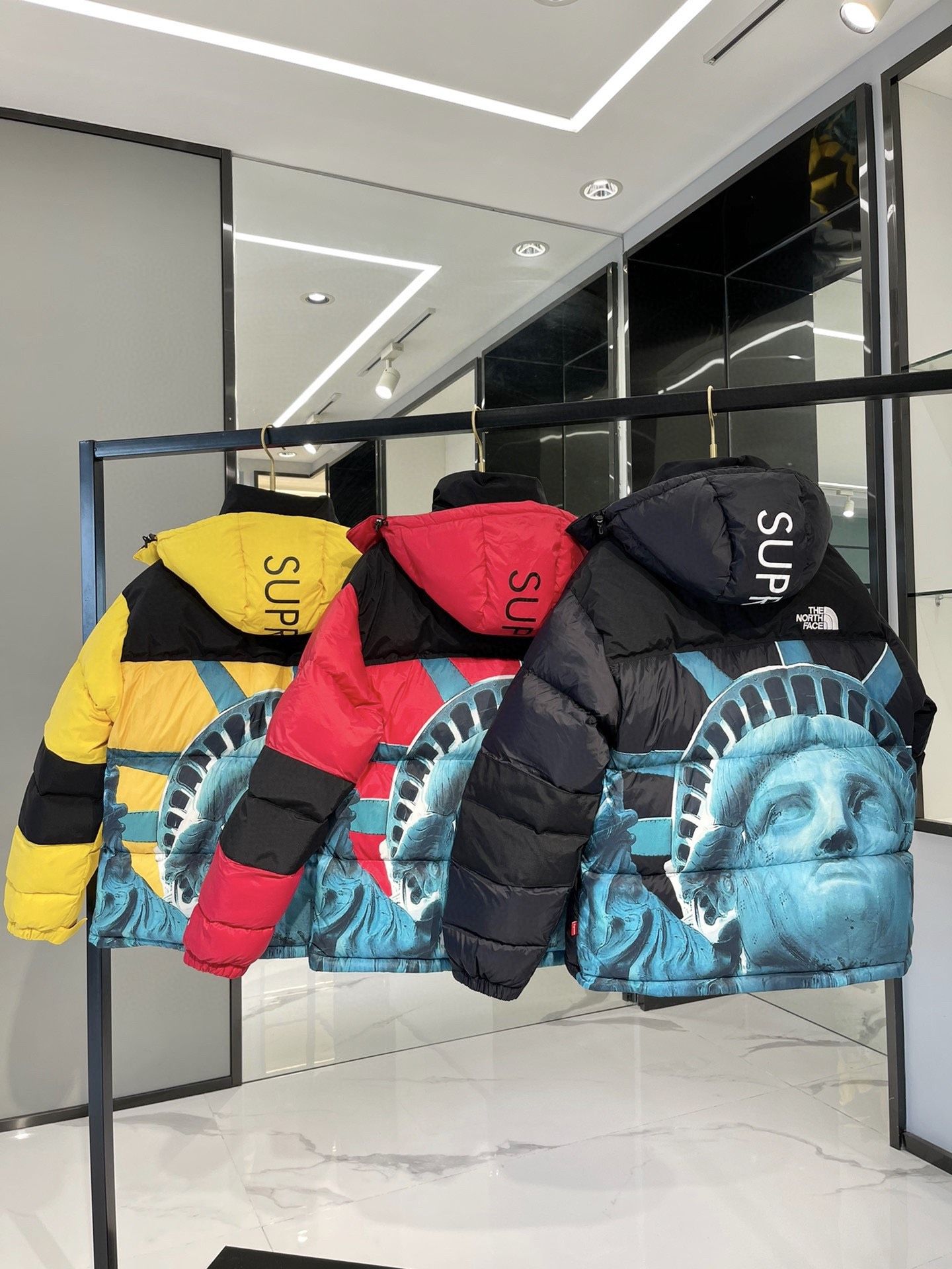 Authentic Supreme & TNF North Joint Statue of Liberty Down Jacket ...