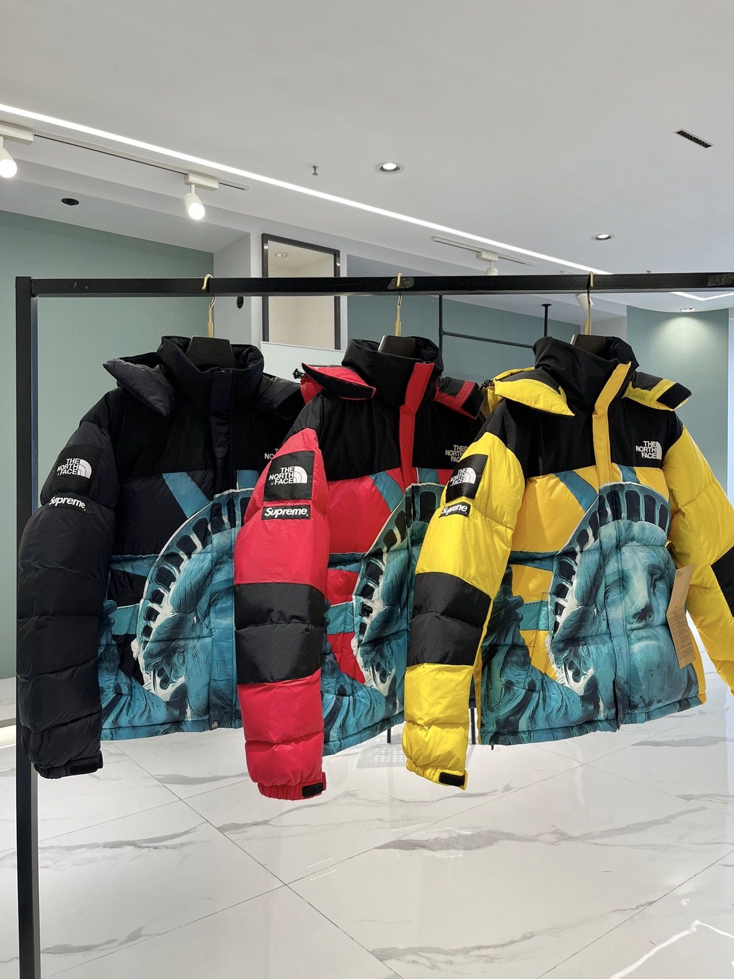 Authentic Supreme & TNF North Joint Statue of Liberty Down Jacket ...