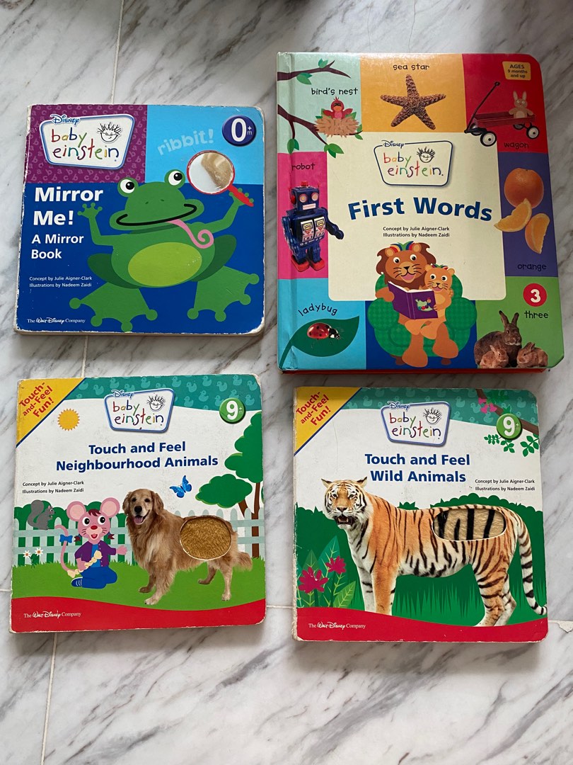 Baby Einstein board book, Hobbies & Toys, Books & Magazines, Children's ...
