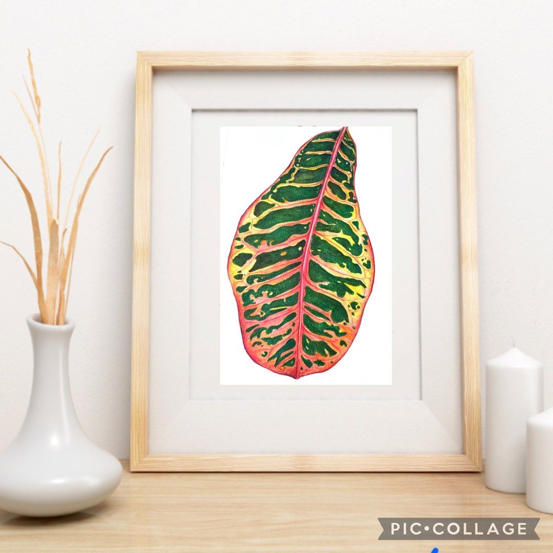 Colored Leaf drawing on thick A3 size paper, Hobbies & Toys, Stationery ...