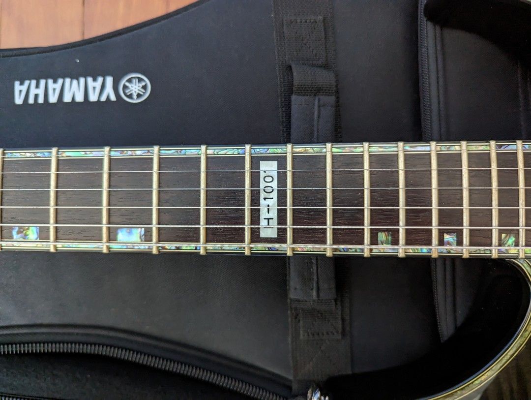 ESP LTD H-1001 See Thru Black, Hobbies & Toys, Music & Media, Musical ...