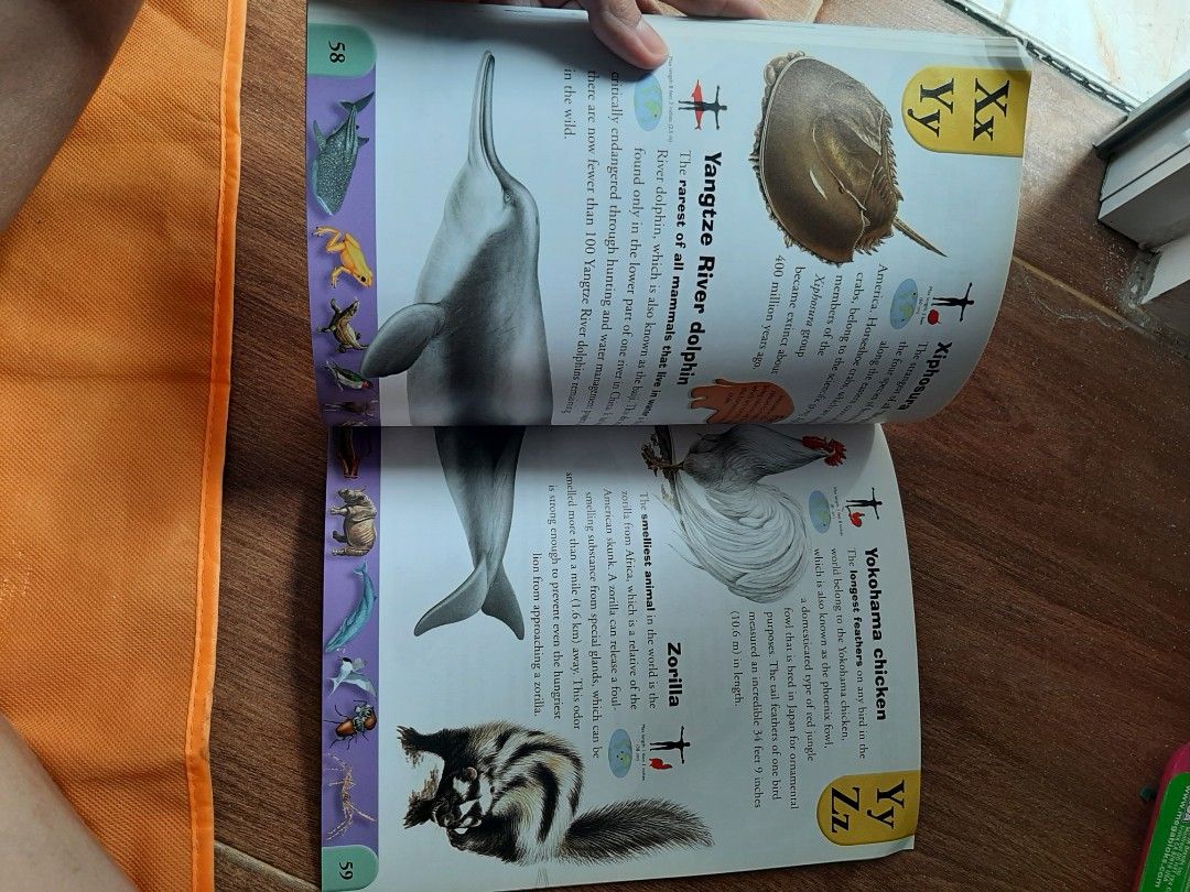Extreme animals dictionary, Buku & Alat Tulis, Buku Anak-Anak di Carousell