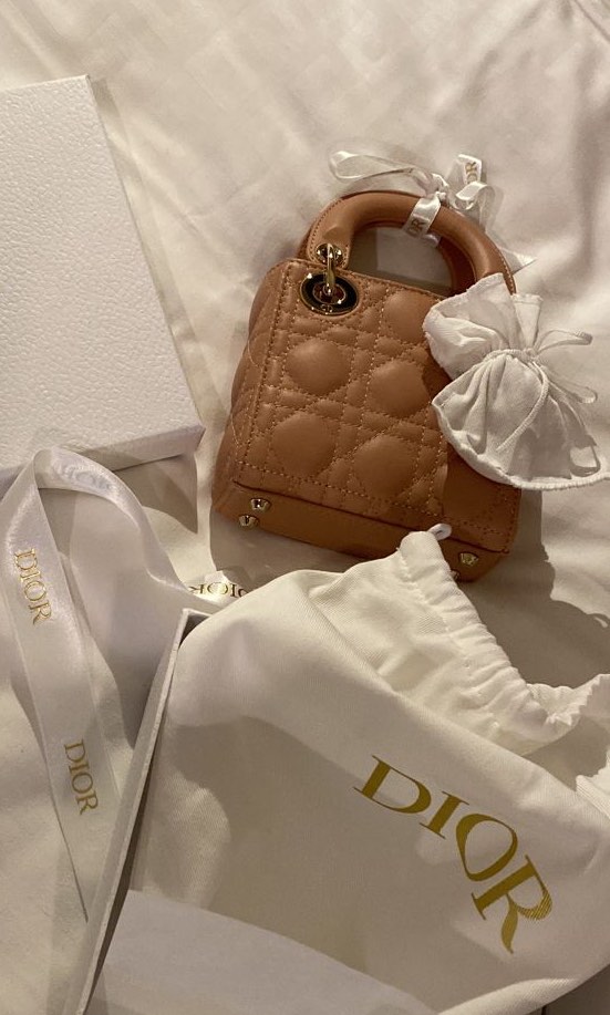 Micro lady dior, Barang Mewah, Tas & Dompet di Carousell