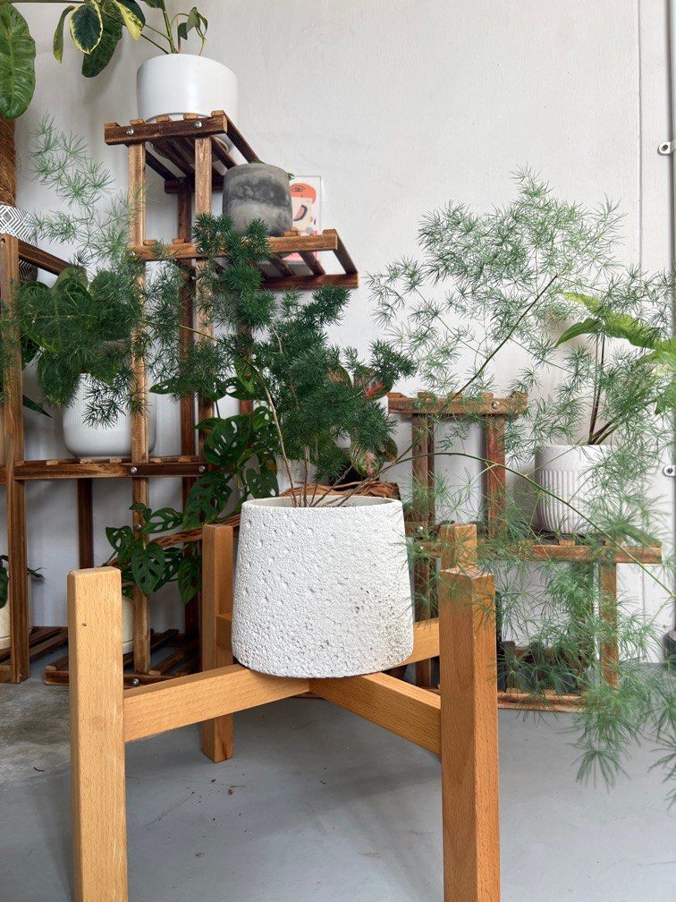 Muji Style Wooden Pot Stand, Furniture & Home Living, Gardening, Pots ...
