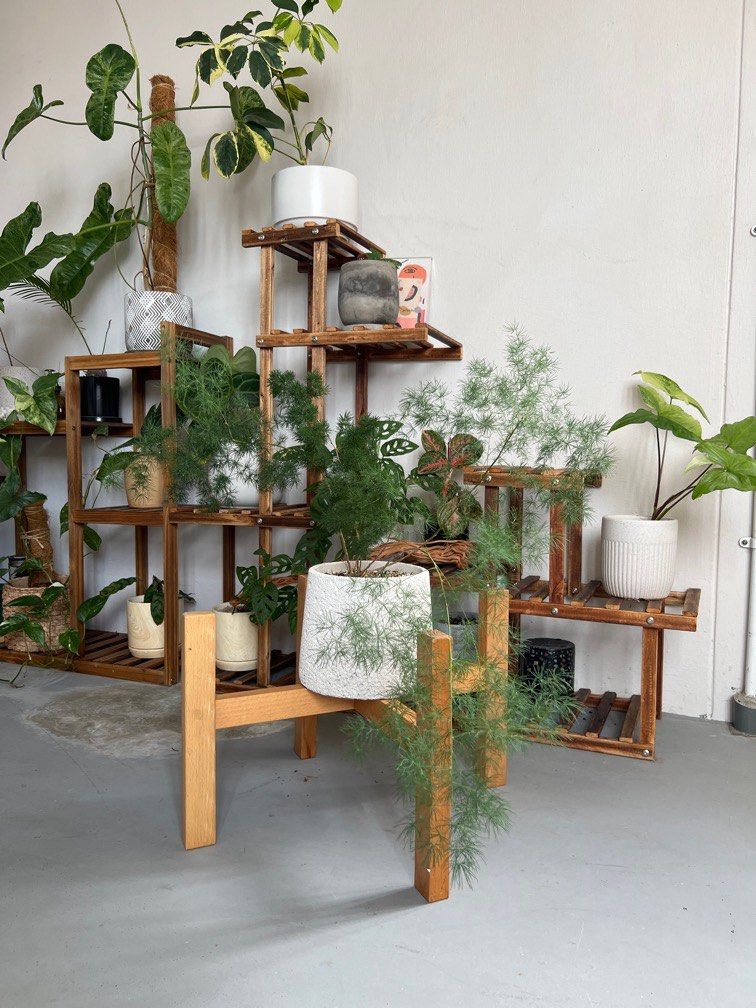 Muji Style Wooden Pot Stand, Furniture & Home Living, Gardening, Pots ...