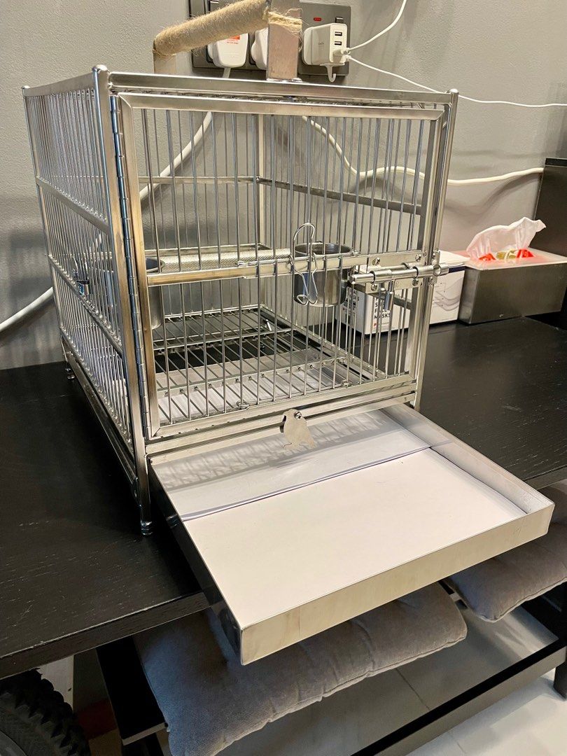 Stainless Steel 304 surgical grade parrot bird carrier bird bath tray ...