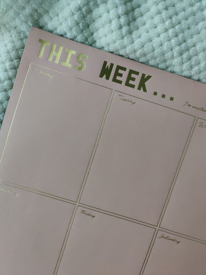 This Week Planner, A3 size. Typo. Used 10 pages, Hobbies & Toys ...