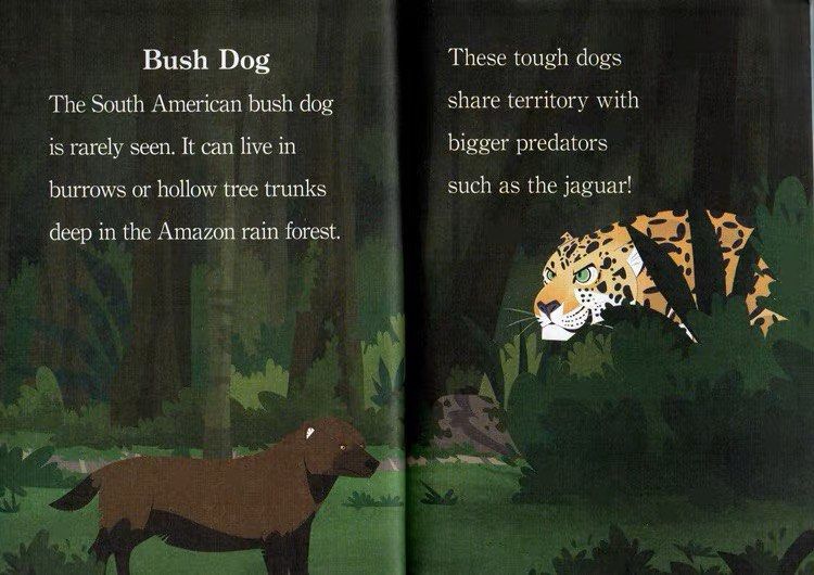 Wild Kratts step into reading books, Hobbies & Toys, Books & Magazines, Children's Books on ...