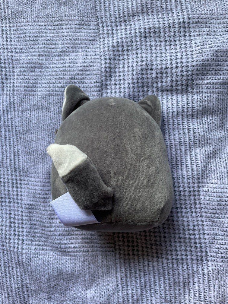 Willy the husky 5” Squishmallow, Hobbies & Toys, Toys & Games on Carousell