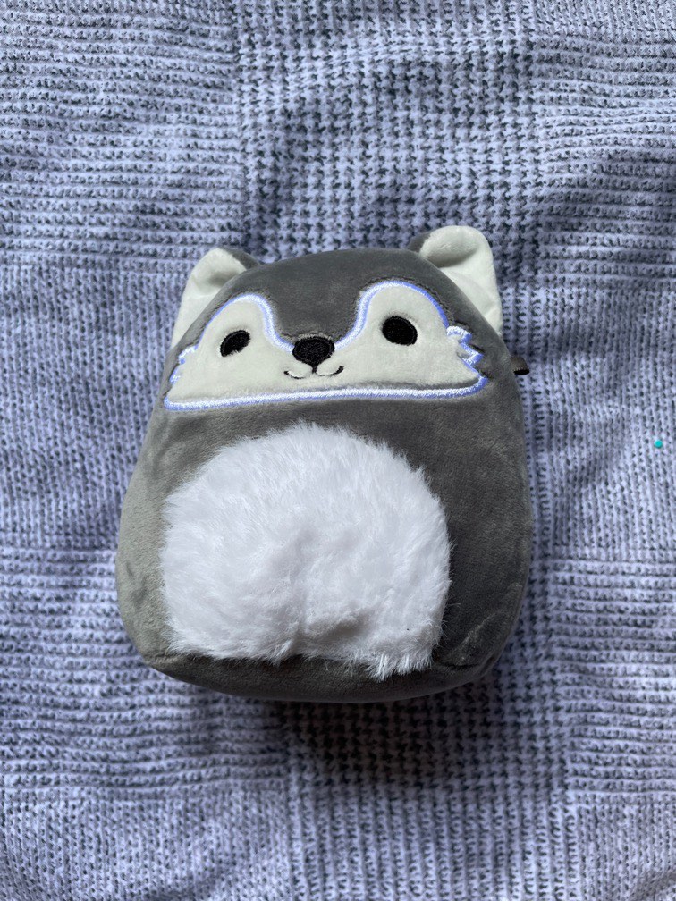 Willy the husky 5” Squishmallow, Hobbies & Toys, Toys & Games on Carousell