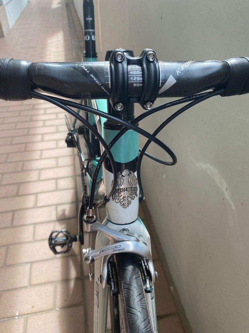 Bianchi Sempre B4P carbon road bike 53cm, Sports Equipment, Bicycles & Parts, Bicycles on Carousell