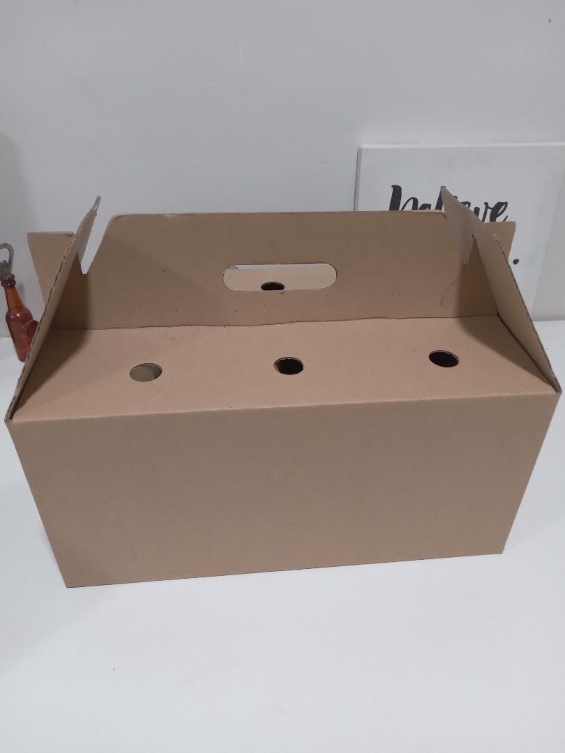 Corrugated Lechon Box, Furniture & Home Living, Home Improvement ...