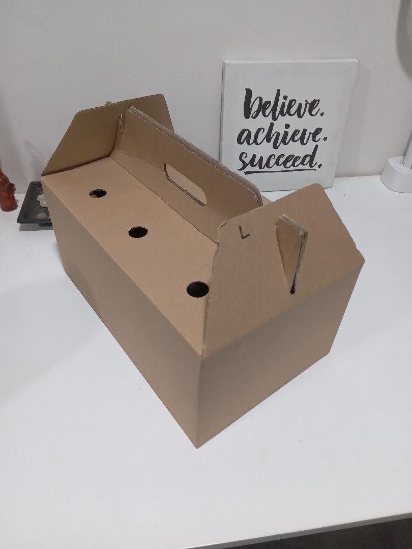 Corrugated Lechon Box, Furniture & Home Living, Home Improvement ...