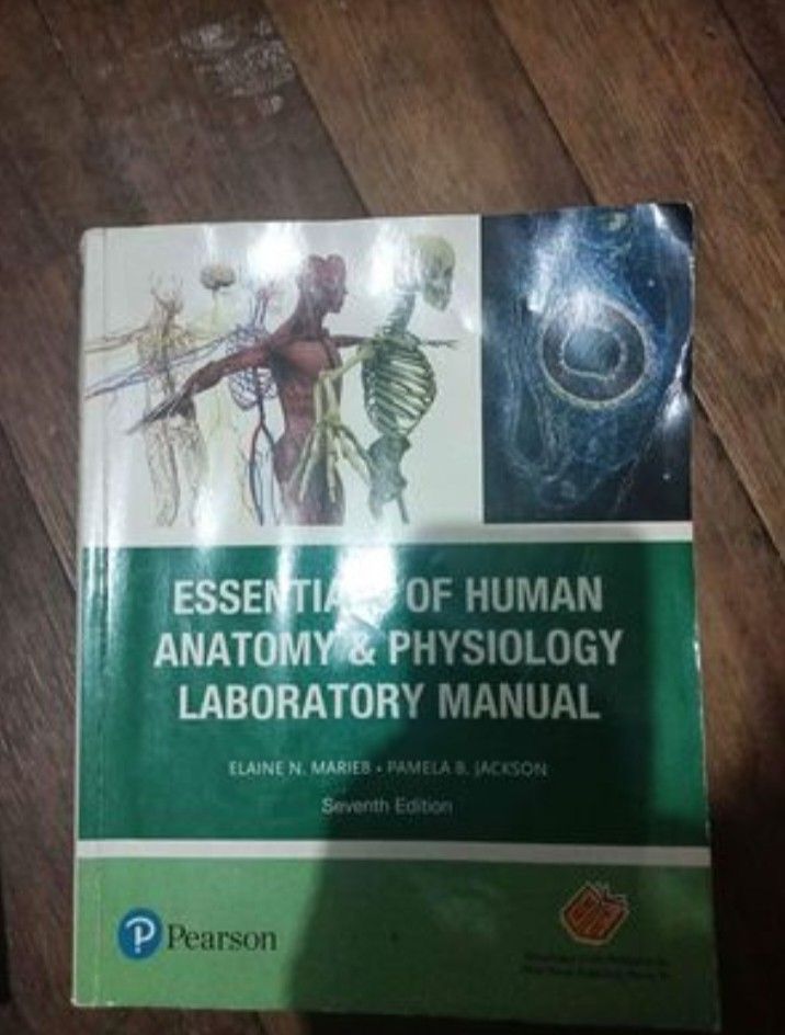 Essentials of Human Anatomy and physiology laboratory Manual Seventh Edition Pearson, Hobbies ...
