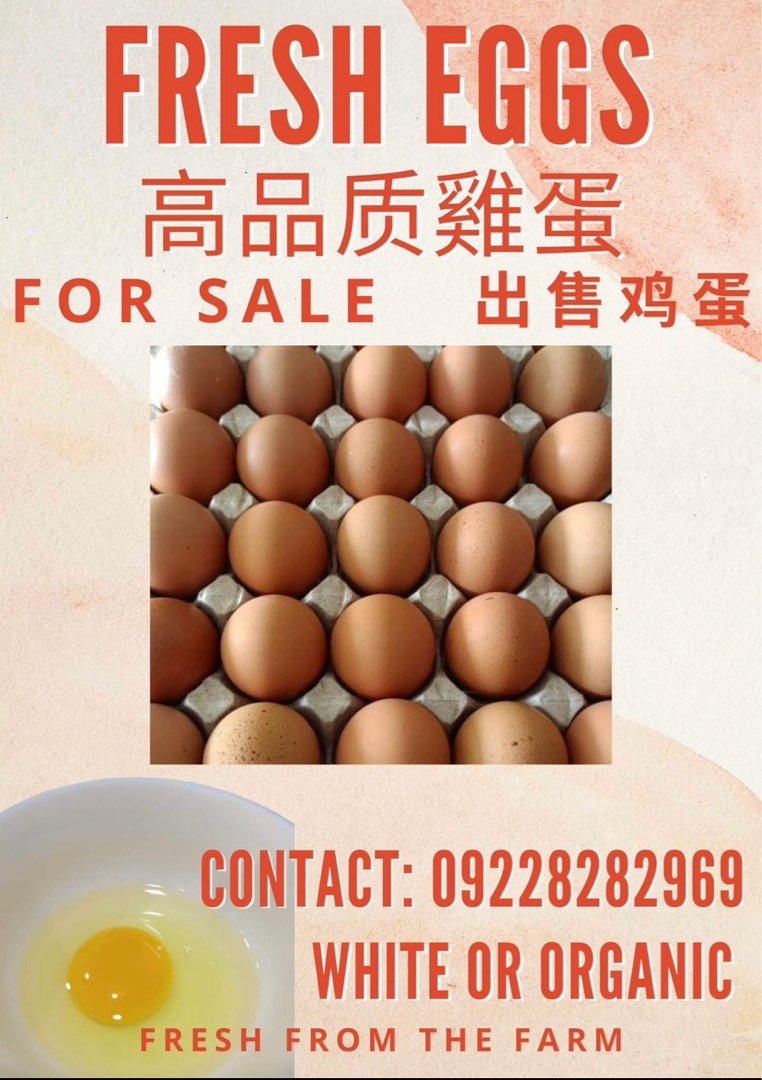 Fresh Farm Eggs for Sale!, Food & Drinks, Other Food & Drinks on Carousell