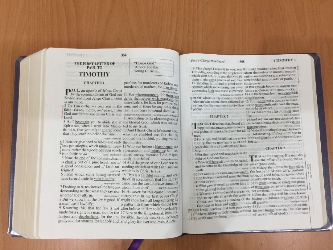 Holy Bible King James Version Easy Reading KJVER™, Hobbies & Toys ...