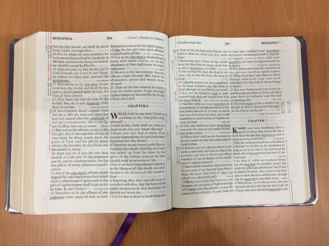 Holy Bible King James Version Easy Reading KJVER™, Hobbies & Toys ...