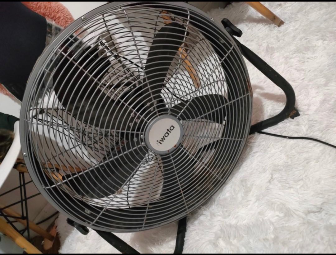 Iwata Industrial fan, Furniture & Home Living, Lighting & Fans, Fans on ...