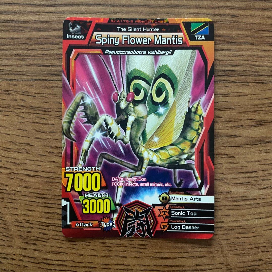 Kartu Animal Kaiser Fighter Komodo Dragon Bear Beetle Mantis, Toys ...