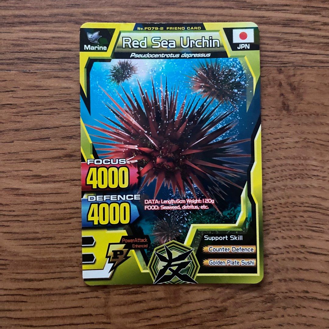 Kartu Animal Kaiser Friend M2 Hammerhead Triceratops Scorpion Urchin ...