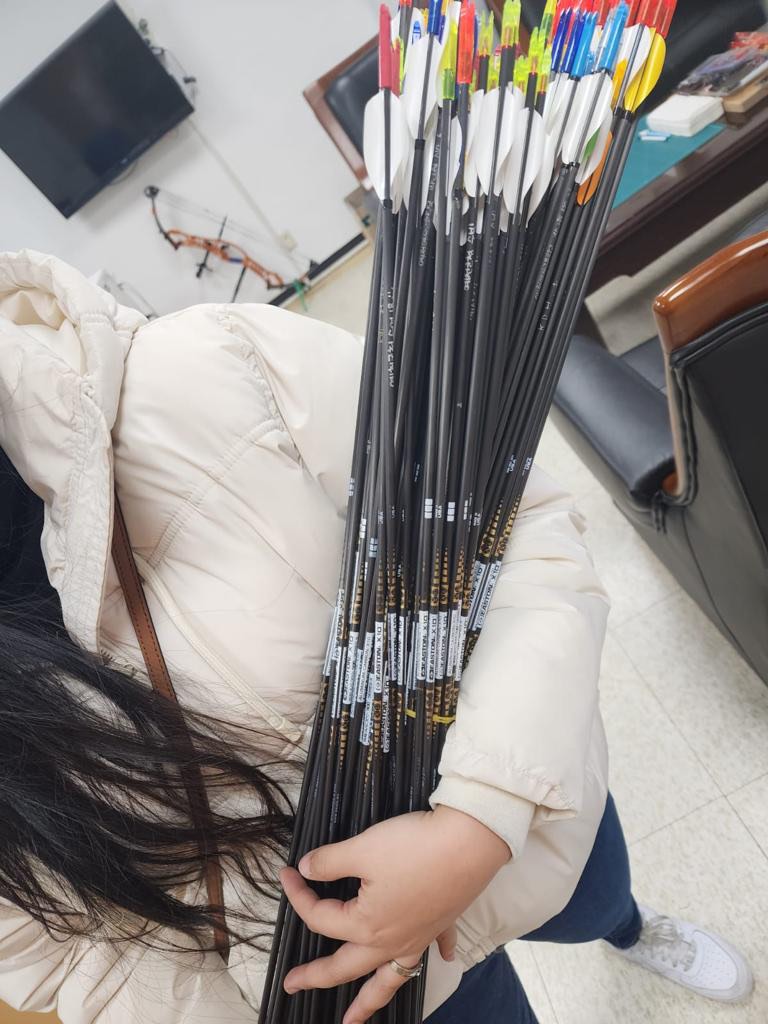 Panah arrow x10 second good quality panahan archery equipment, Olah ...