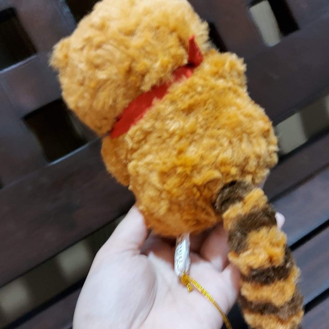 Realistic Rascal the Raccoon Stuffed Toy (Anime Merchandise), Hobbies ...