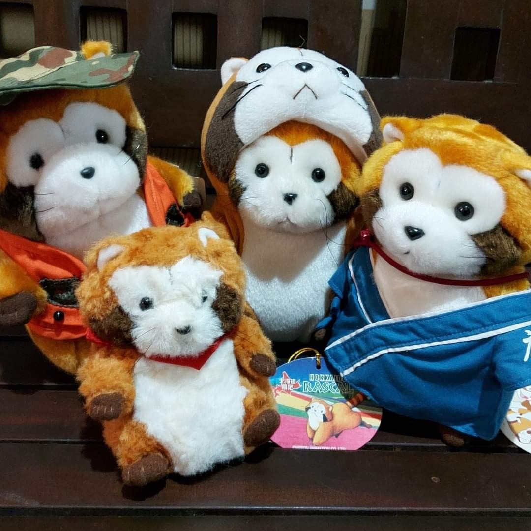 Realistic Rascal the Raccoon Stuffed Toy (Anime Merchandise), Hobbies ...