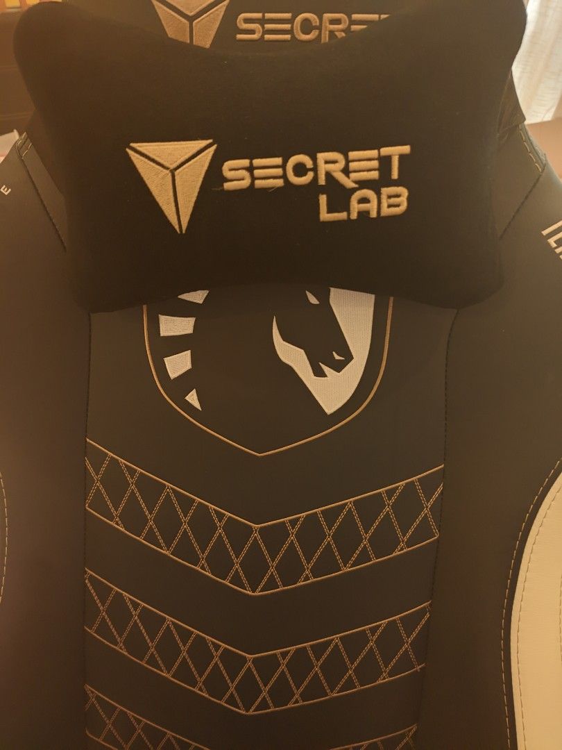 Secretlab TITAN 2020 Team Liquid, Furniture & Home Living, Furniture ...