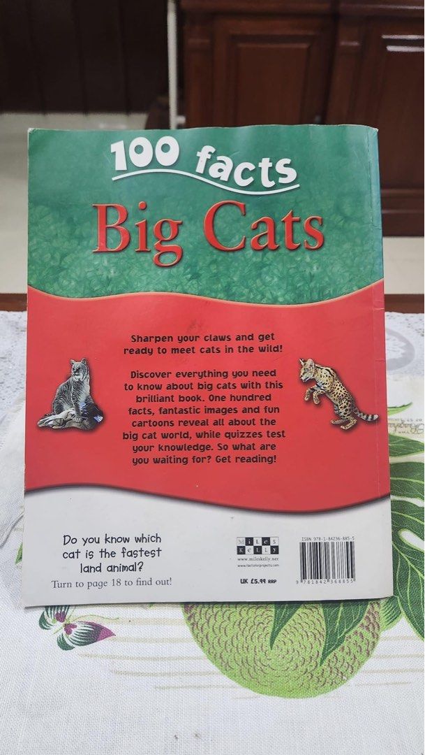 100 Facts Big Cats, Hobbies & Toys, Books & Magazines, Children's Books ...