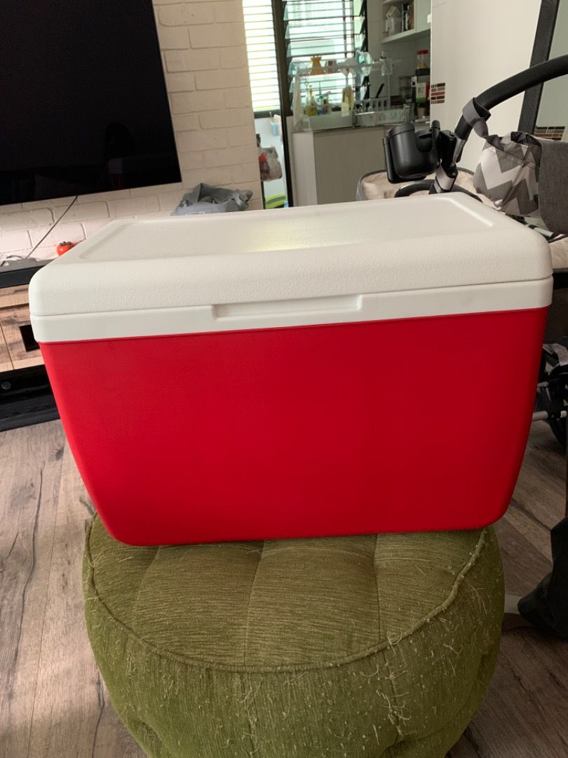 50L cooler box, Furniture & Home Living, Kitchenware & Tableware, Food ...