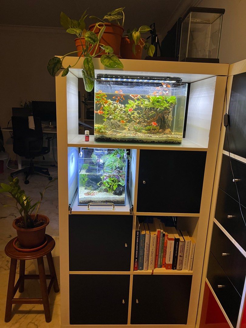 Aquarium + cabinet rack, Furniture & Home Living, Furniture, Shelves ...