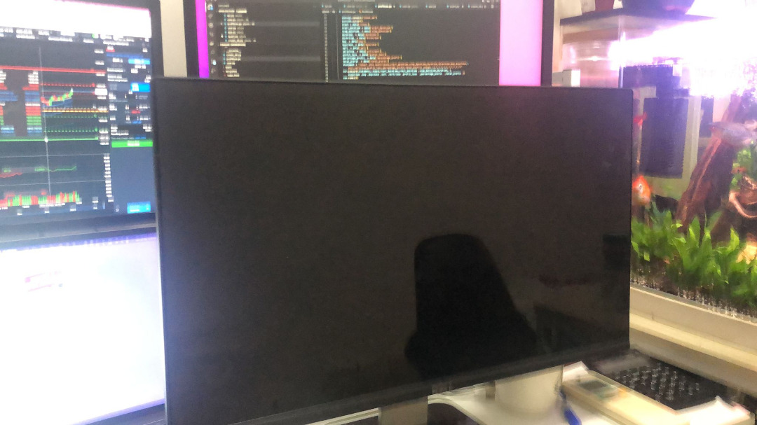 Dell 2340L 23 Inch Monitor, Computers & Tech, Desktops on Carousell