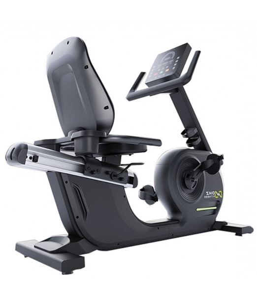 (Display Set) DHZ-A5100 Commercial Recumbent Bike, Sports Equipment ...
