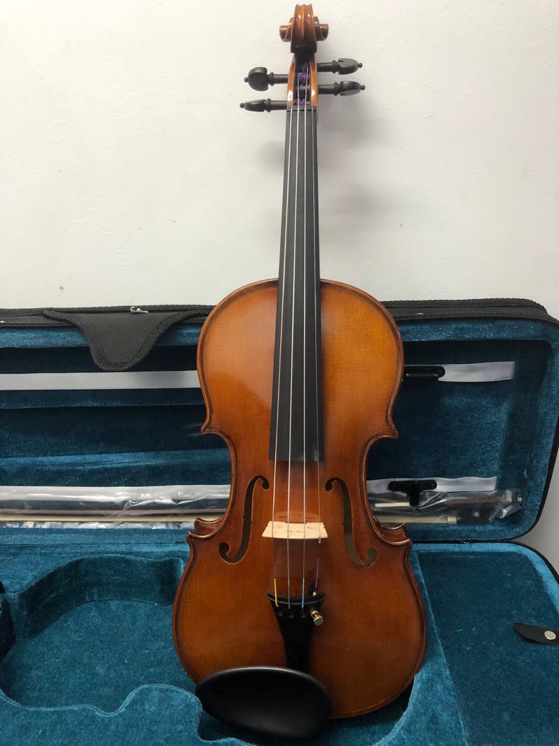 Eurostring M500 Violin Professional, Hobbies & Toys, Music & Media ...