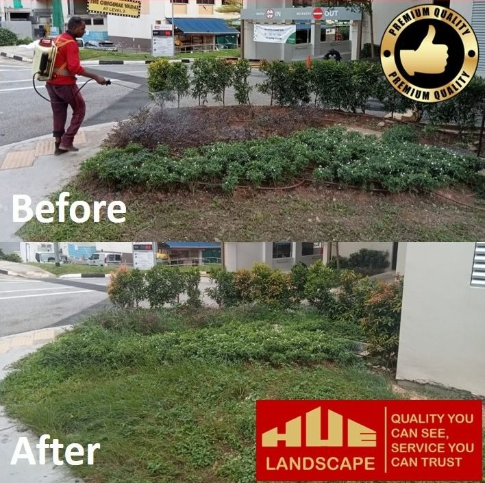 [SAME DAY] Landscaping and Gardening Service: Lawn Mower & Grass Cutting | Lawn Edging ...