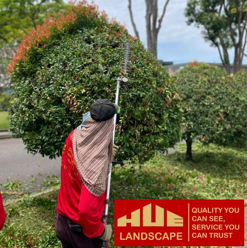 [SAME DAY] Landscaping and Gardening Service: Lawn Mower & Grass Cutting | Lawn Edging ...