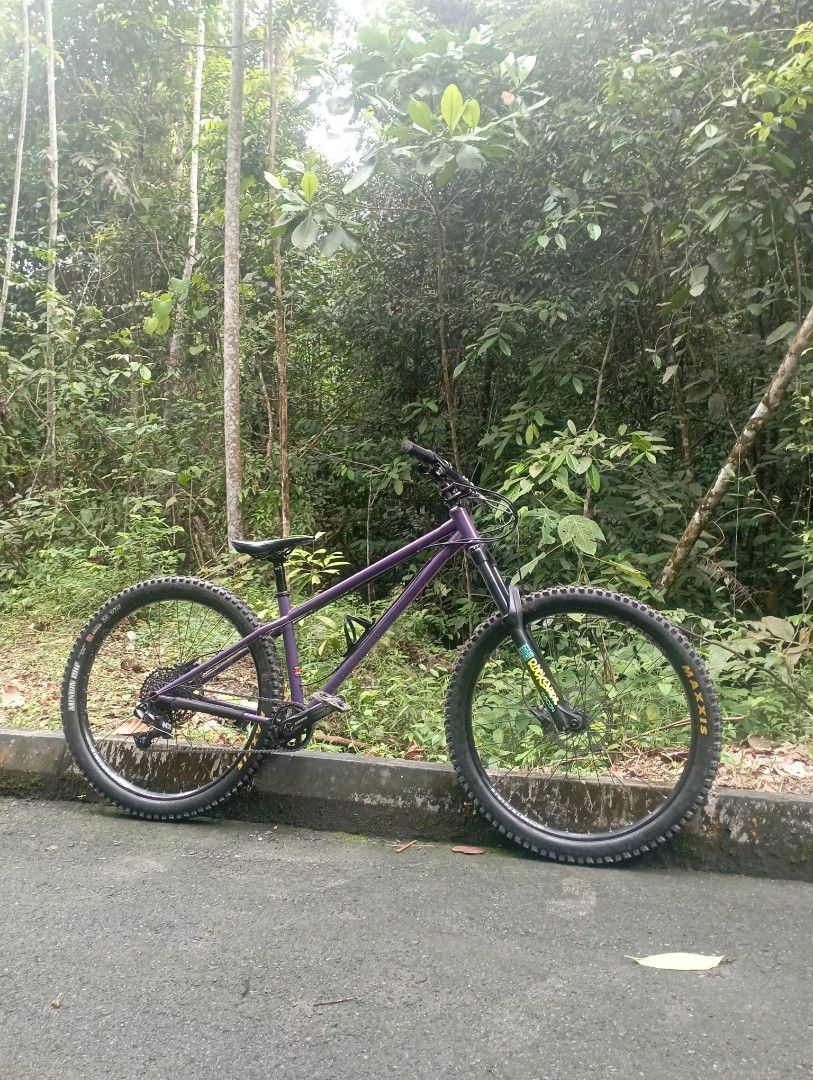 Hardcore Hardtail babahbike "FRAME ONLY", Sports Equipment, Bicycles ...